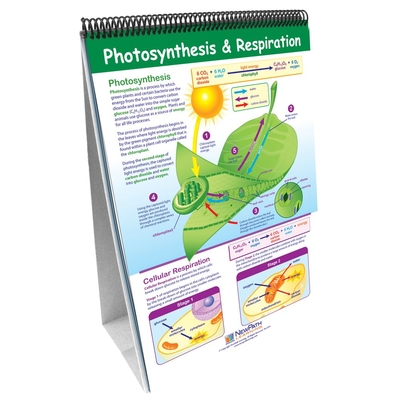 Curriculum Mastery Earth Science Flip Chart Set, Grades 6-8, EA | Labscoop