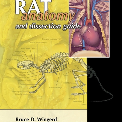 Rat Anatomy and Dissection Guide, EA | Labscoop